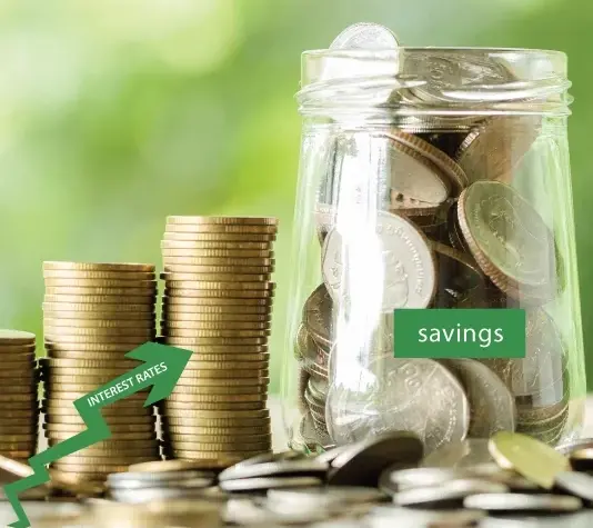 The Importance of Savings: How to Create a Sustainable Savings Plan ...